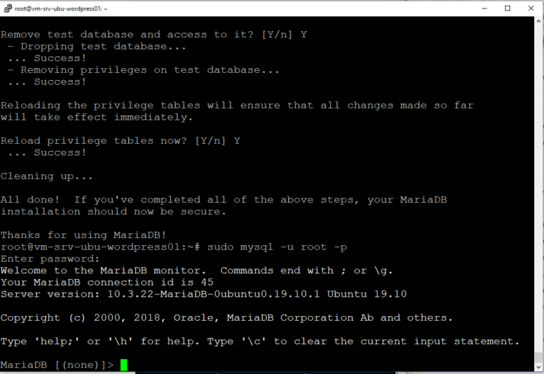 Installazione Di Wordpress Su Ubuntu Server 1910 Con Nginx Mariadb E Php 73 Pfm